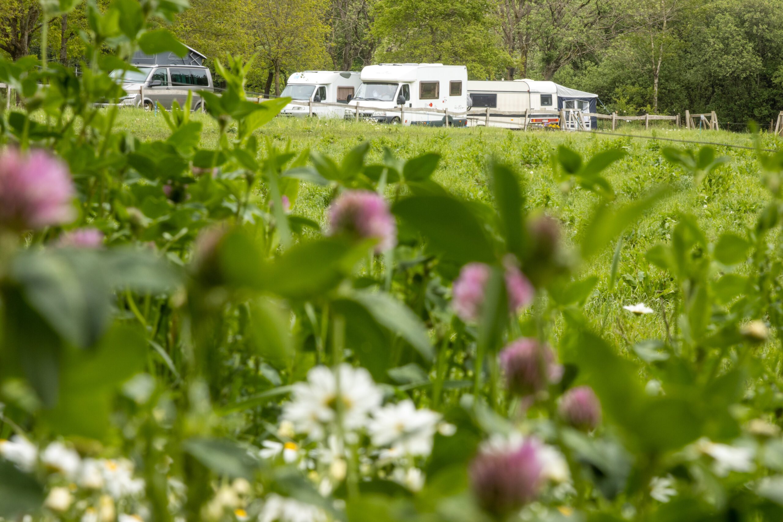 Gyvelborg Camping | Campcation